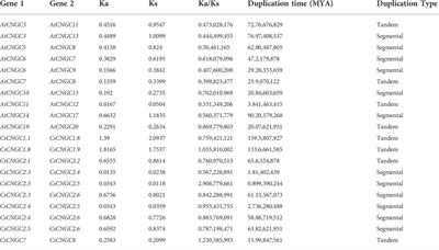 Frontiers | Pangenome-wide analysis of cyclic nucleotide-gated channel ...