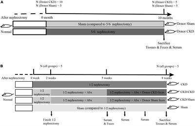 Frontiers | Fecal microbiota transplantation restores normal fecal ...