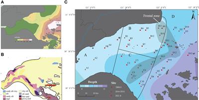 Frontiers | Spatial and temporal distribution of macrobenthos ...