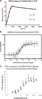 Frontiers | An orally available small molecule that targets soluble TNF ...
