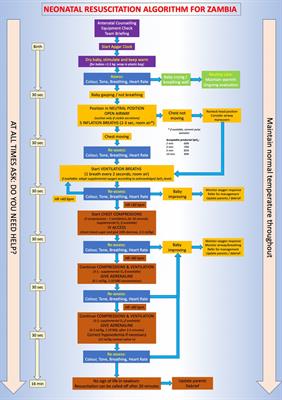 Frontiers | Bridging the gap in neonatal resuscitation in Zambia