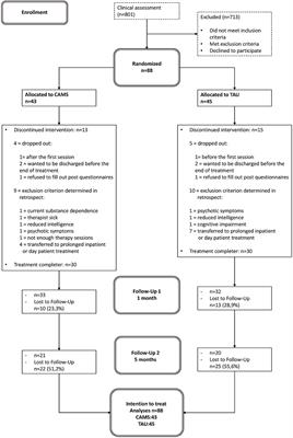 Frontiers | The Collaborative Assessment and Management of Suicidality ...