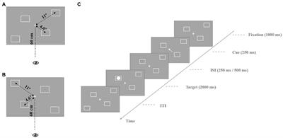 Frontiers | Effects of exogenous and endogenous cues on attentional ...