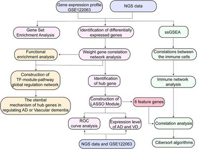 Frontiers | Transcriptome analysis reveals potential marker genes for ...