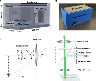 Frontiers | Smartphone-microfluidic fluorescence imaging system for ...