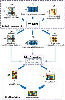 Frontiers | WLLP: A weighted reconstruction-based linear label ...