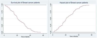 Frontiers | Survival analysis of women breast cancer patients in ...