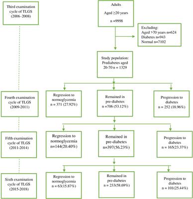Frontiers | Are the determinants of the progression to type 2 diabetes ...