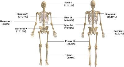 Frontiers | Symptomatic bone marrow metastases in breast cancer: A ...