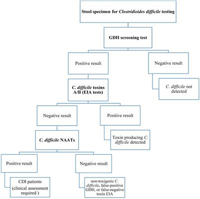 Frontiers | Rapid-format recombinant antibody-based methods for the ...