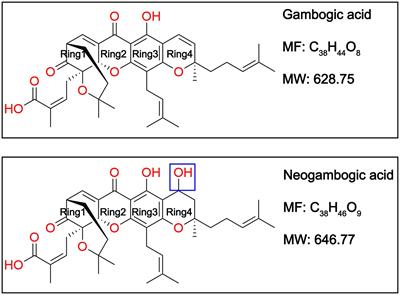 Frontiers | Investigations into the antibacterial effects and potential ...