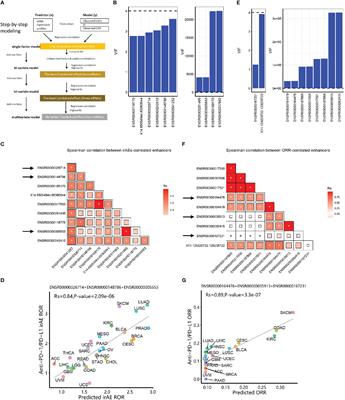 Frontiers | Enhancer RNA-based modeling of adverse events and objective ...