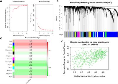 Frontiers | Identification of the core genes in Randall’s plaque of ...