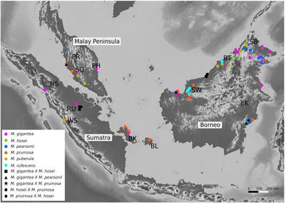 Frontiers | Biogeography of the Sunda Shelf revisited: Insights from ...