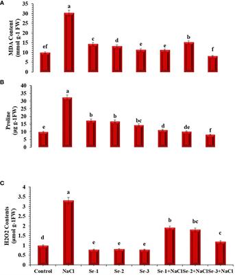 Frontiers | Selenium seed priming enhanced the growth of salt-stressed ...
