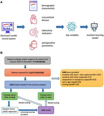 Frontiers | Identification of risk factors for infection after mitral ...