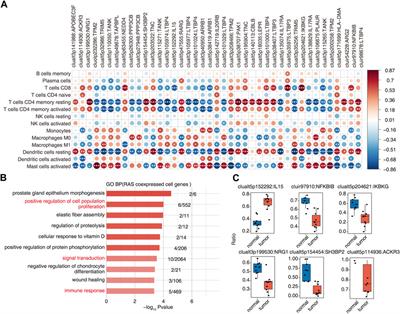 Frontiers | Genome-wide identification of alternative splicing and ...