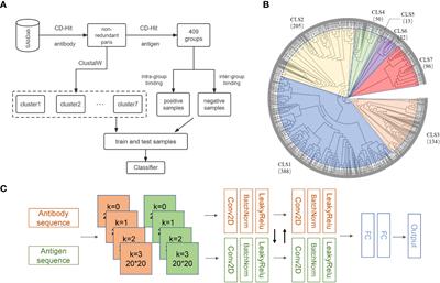 Frontiers | AbAgIntPre: A deep learning method for predicting antibody ...