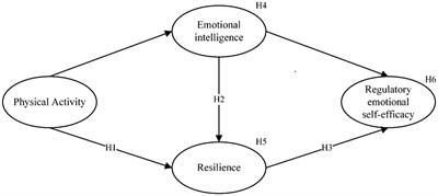 Frontiers | Effects of physical activity on regulatory emotional self ...