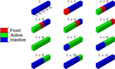 Frontiers | Spatio-temporal simulations of bone remodelling using a ...