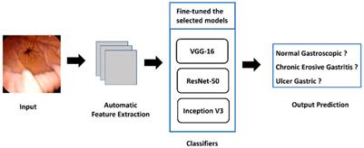 Frontiers | A deep learning based framework for the classification of ...