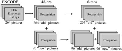 Frontiers | Alterations of theta power and synchrony during encoding in ...