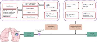 Frontiers | Adjuvant immunotherapy in early-stage resectable non–small ...