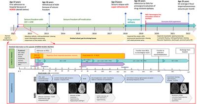 Frontiers | A case report: New-onset refractory status epilepticus in a ...