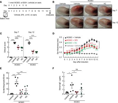 Frontiers | Topical Skullcapflavone II attenuates atopic dermatitis in ...