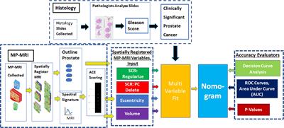 Frontiers | Pilot study for generating and assessing nomograms and ...