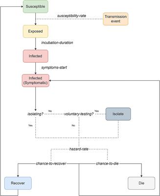 Frontiers | An agent-based model of COVID-19 dynamics during enhanced ...