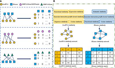 Frontiers | Recent advances in machine learning methods for predicting ...