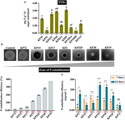 Frontiers | Revisiting the oldest manure of India, Kunapajala ...