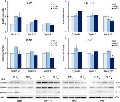 Frontiers | Hydroalcoholic extract of Buxus sempervirens shows ...