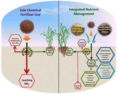 Frontiers | Integration of organics in nutrient management for rice ...