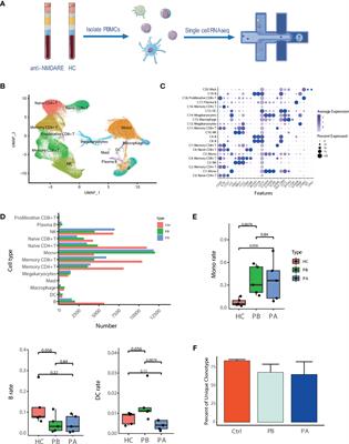 Frontiers | Single-cell transcriptomics reveals cell type–specific ...