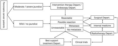 Frontiers | Multidisciplinary team diagnosis and treatment of ...