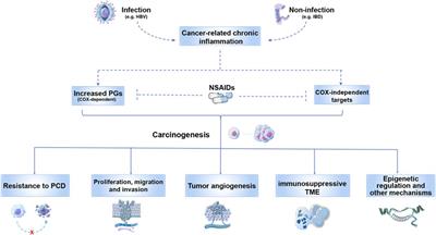 Frontiers | Targeting cancer-related inflammation with non-steroidal ...