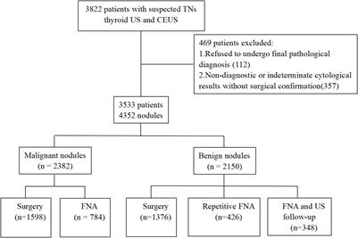 Frontiers | The use of modified TI-RADS using contrast-enhanced ...