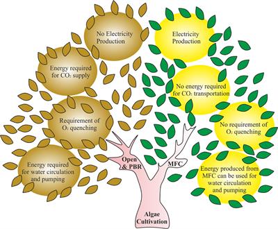 Frontiers | Integration of third generation biofuels with bio ...