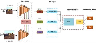 Frontiers | Siamese hierarchical feature fusion transformer for ...