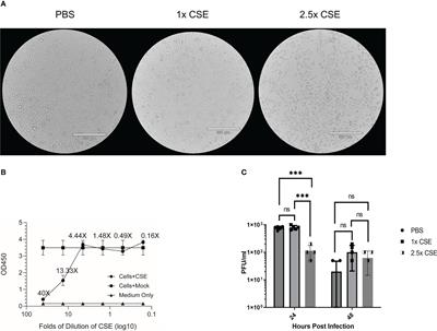 Frontiers | Modeling the effects of cigarette smoke extract on ...
