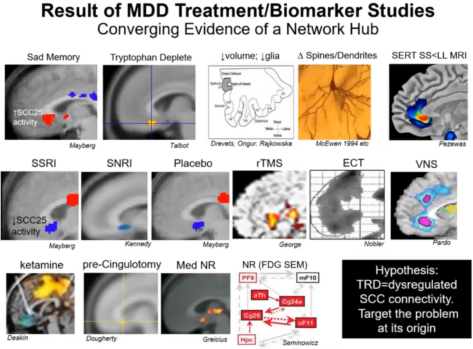 Frontiers | Proceedings of the 10th annual deep brain stimulation think ...