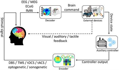 Frontiers | On closed-loop brain stimulation systems for improving the ...
