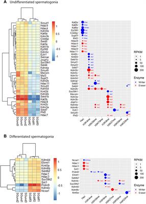 Frontiers | Transcriptome profiling of histone writers/erasers enzymes ...