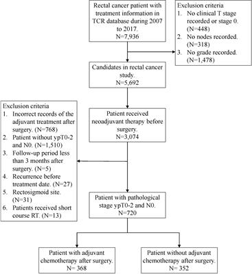 Frontiers | Adjuvant chemotherapy and survival outcomes in rectal ...