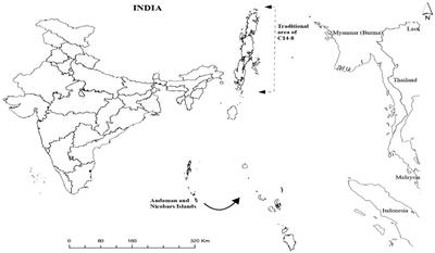 Frontiers | Harnessing intra-varietal variation for agro-morphological ...