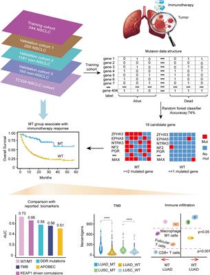 Frontiers | Development and validation of a mutation-based model to ...