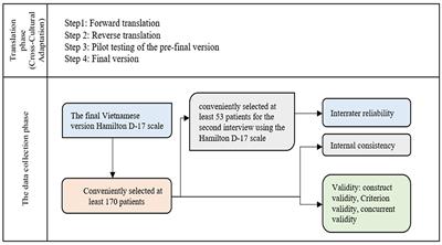 Frontiers | Reliability and validity of the Vietnamese version of the ...