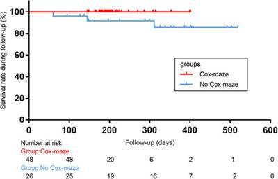 Frontiers | Clinical efficacy and safety of Cox-maze IV procedure for ...